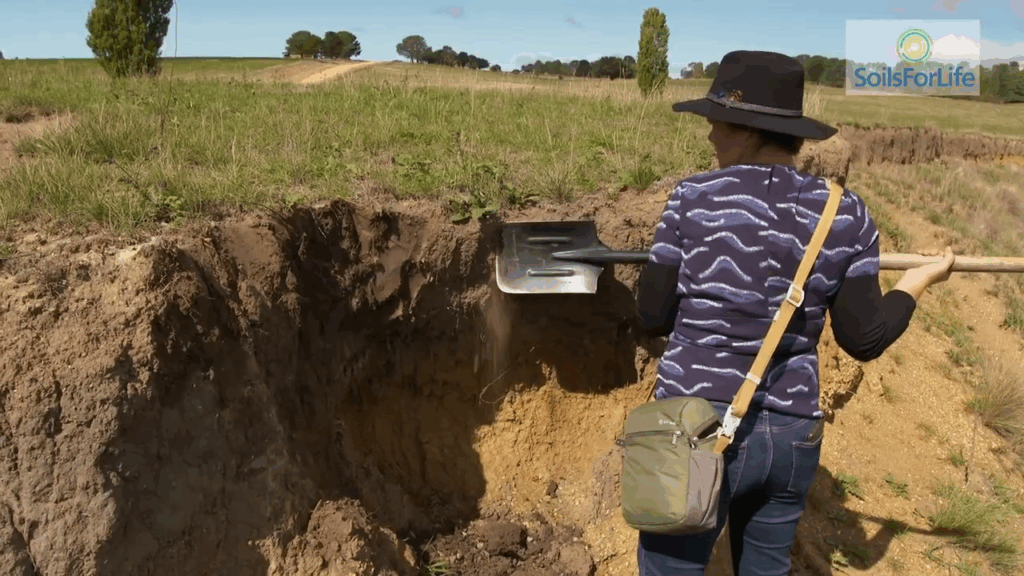 Nicole Masters - The Agroecologist - Soils For Life