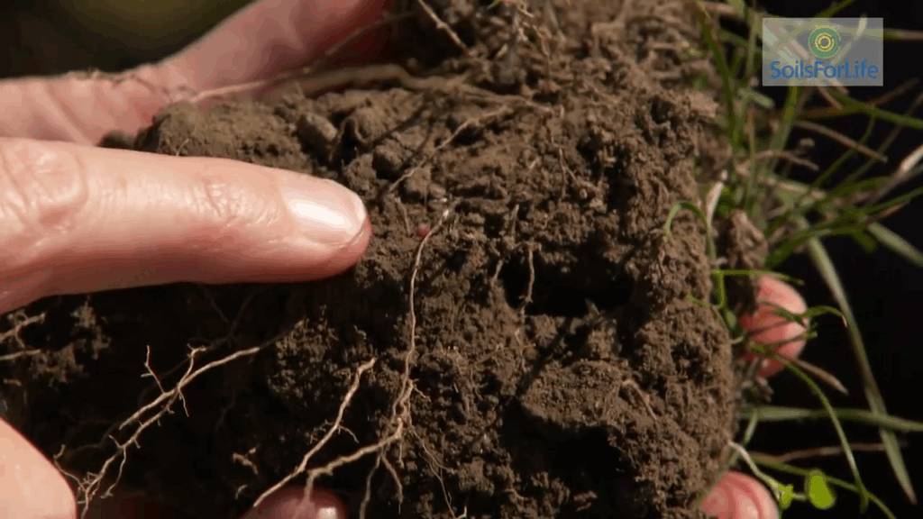 Nicole Masters - The Agroecologist - Soils For Life