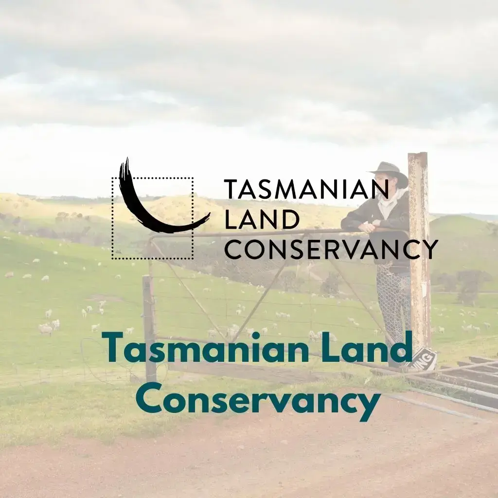 Conservation and revegetation programs - Soils For Life