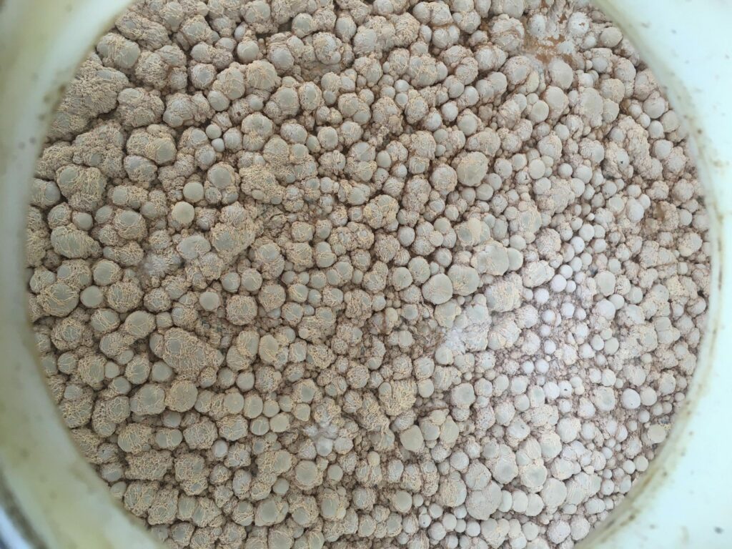 Exploring the benefits of bio-amendments in cropping - Soils For Life