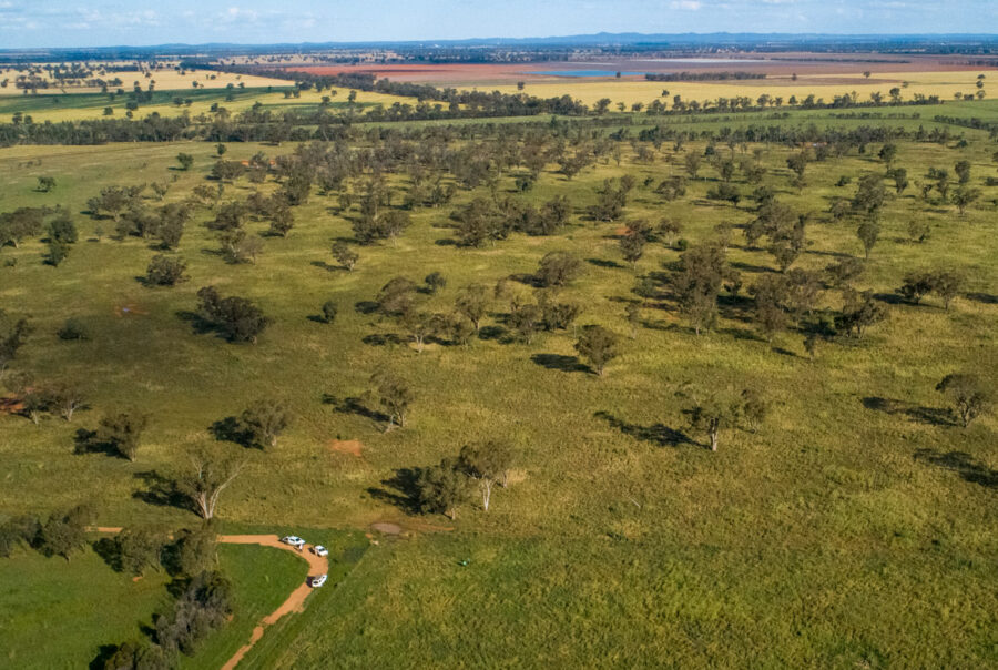 Supporting Australian Soil Stewards in Australian regenerative ...