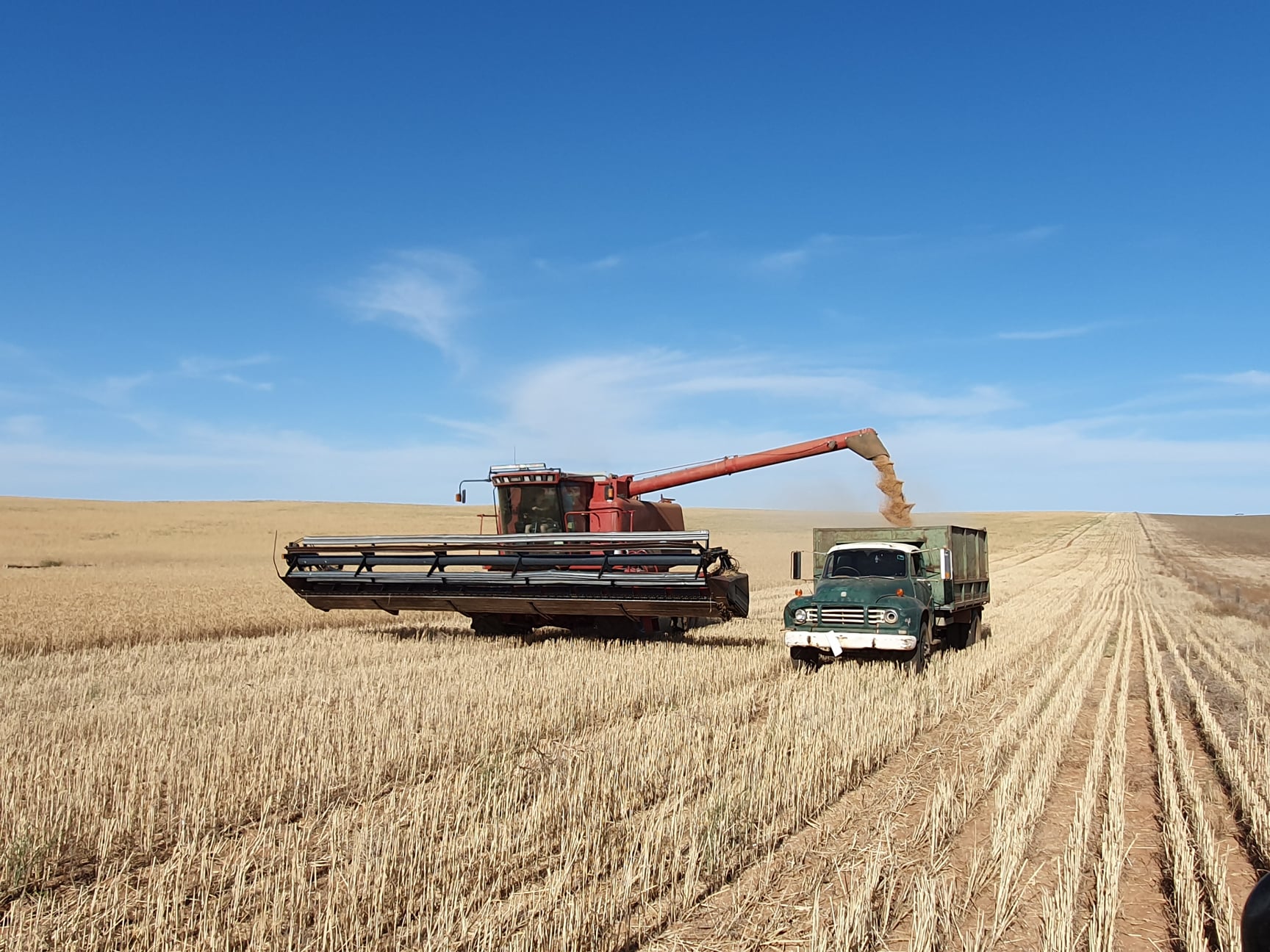 Integrating Cropping and Livestock Practice Guide | Soils for Life