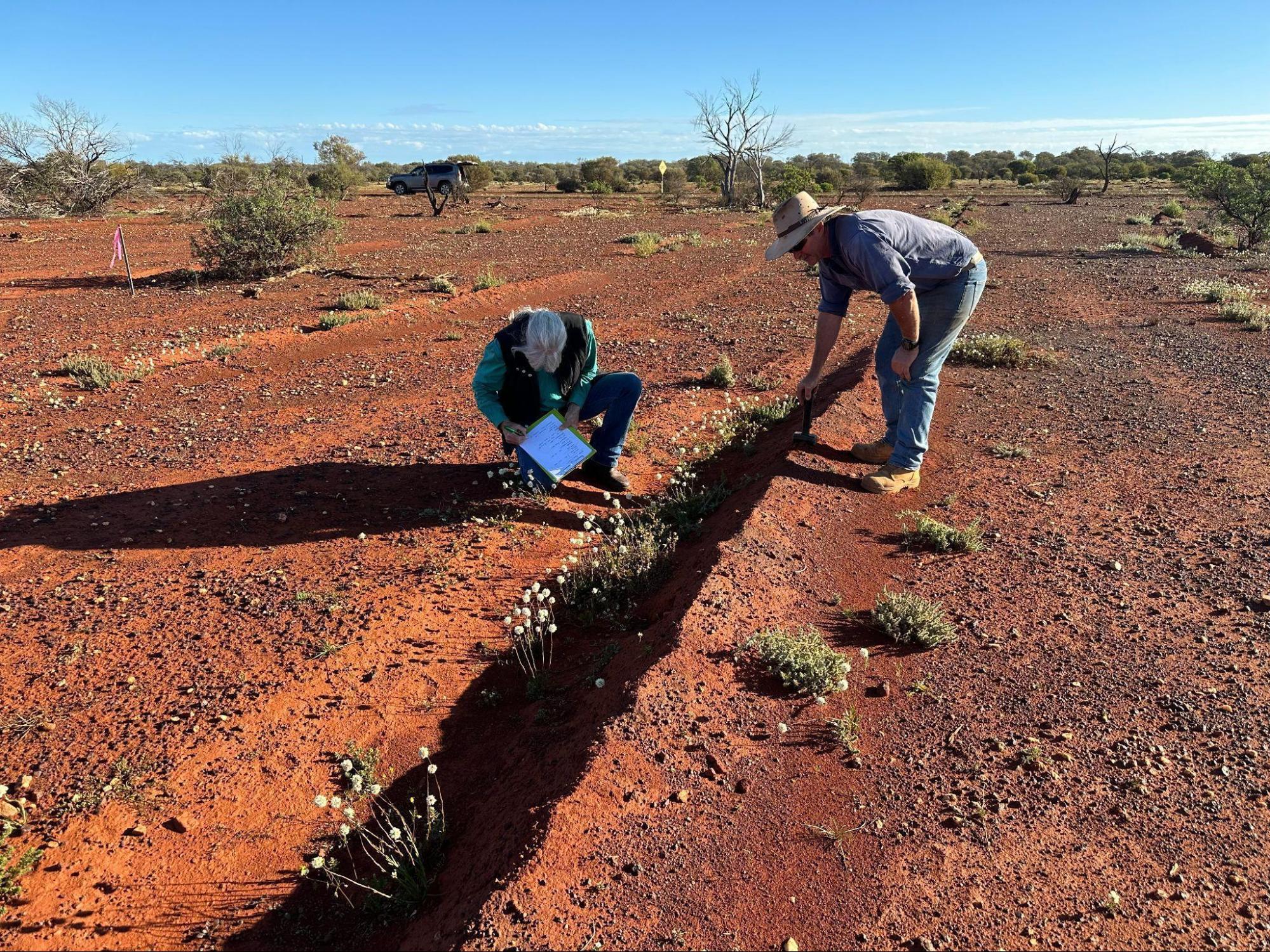 Revitalisation of WA’s southern rangelands - Soils For Life