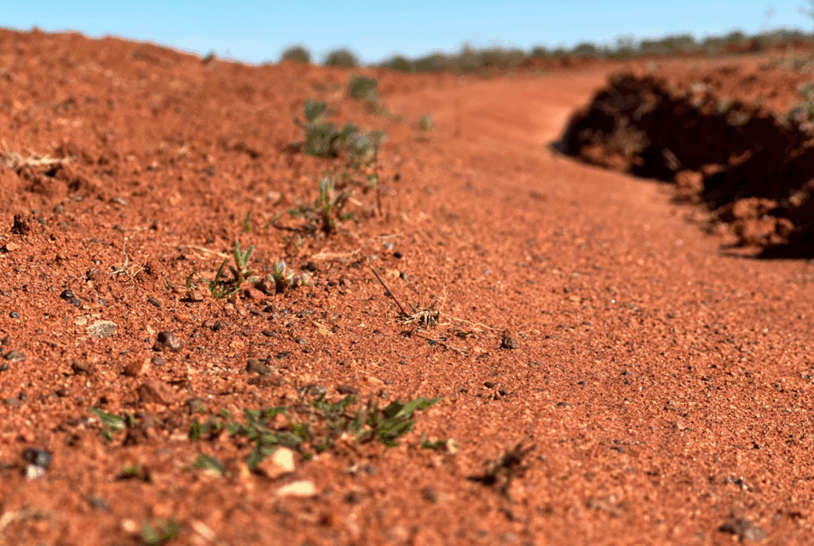 Supporting Australian Soil Stewards in Australian regenerative ...