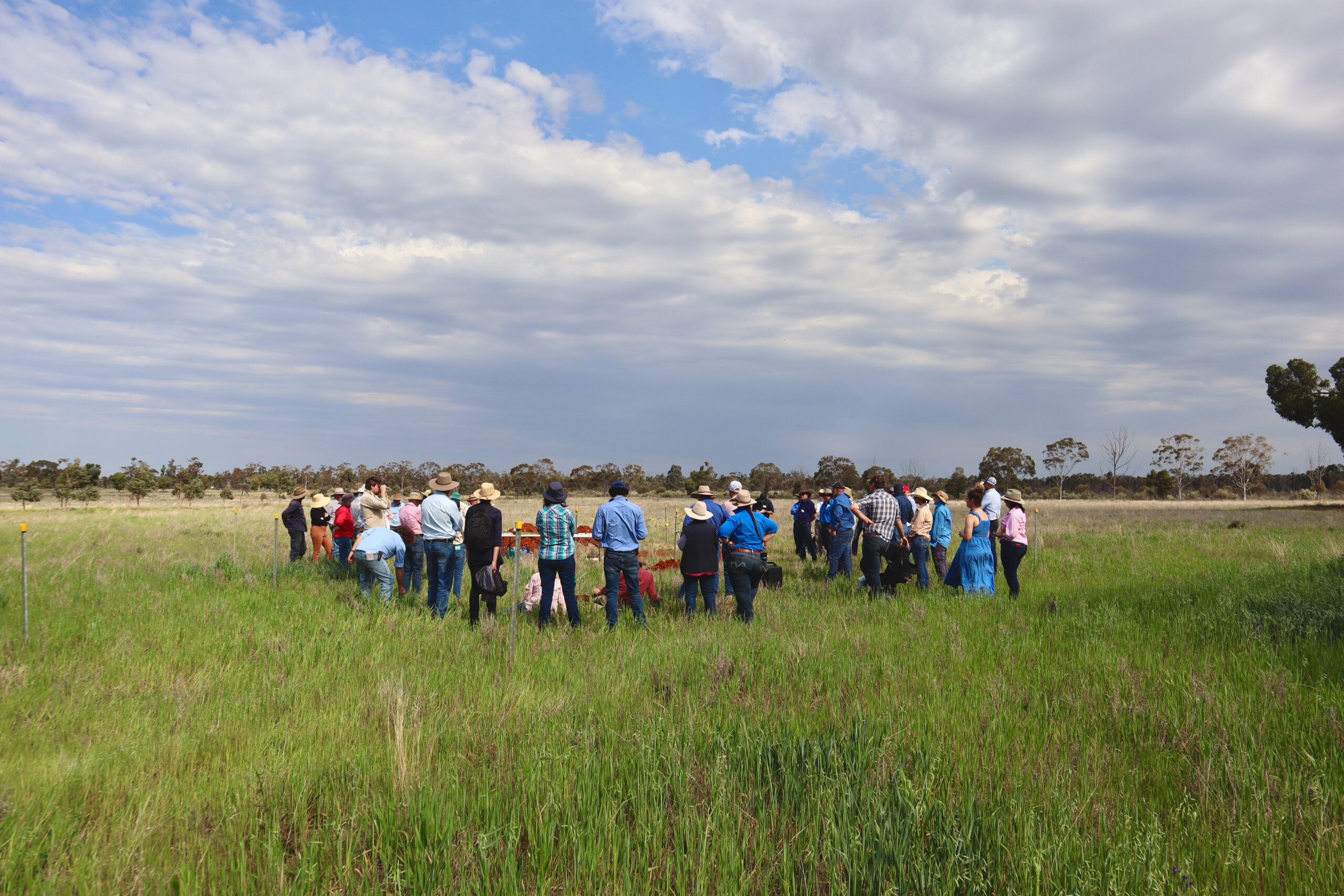 Reflecting on two years of work on resilient cropping - Soils For Life